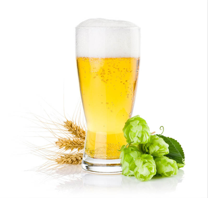 Three vessel 600L beer brewing system with Wort Grant | Tiantai® 2 ...
