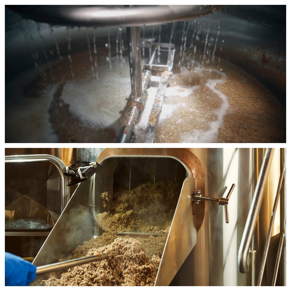 Dominando El Proceso De Filtración Del Mosto: Guía paso a paso ...