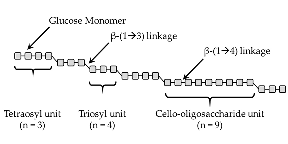 Understand The Breakdown Of Proteins During Mashing And Its Impact On ...