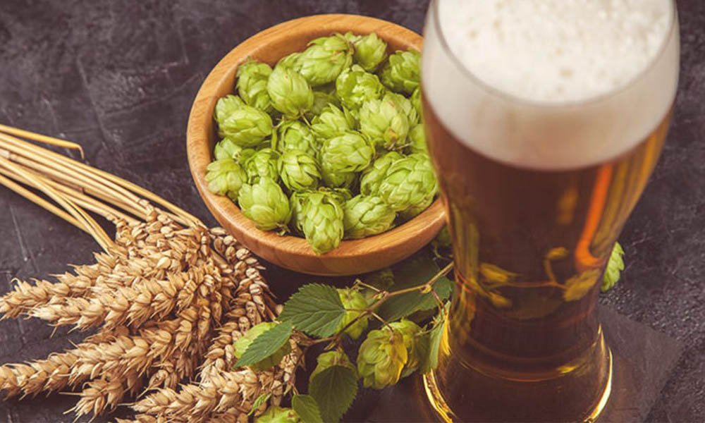 Understanding Hop Protection Needs In Craft Beer Brewing - Tiantai ...